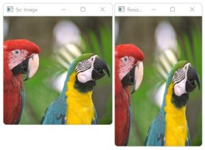 【OpenCV-Python】resize(画像の拡大縮小) | イメージングソリューション