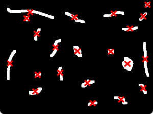 【OpenCV-Python】momentsによる重心の計算 | イメージングソリューション