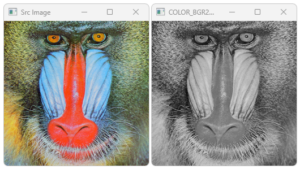 【OpenCV-Python】cvtColor(色変換) | イメージングソリューション